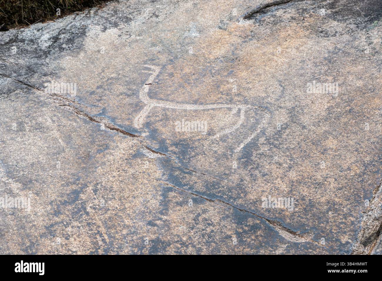 famous 3000 years old Rock Carvings at Tanum World Heritage Site in ...