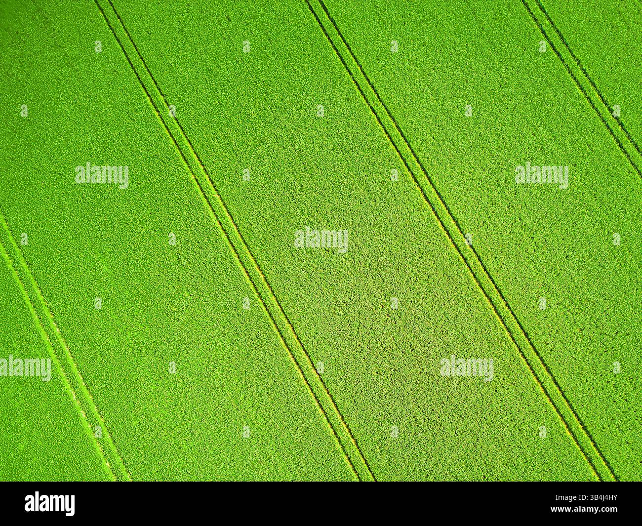 Aerial view of a green field with pattern shapes of the tractor prints ...
