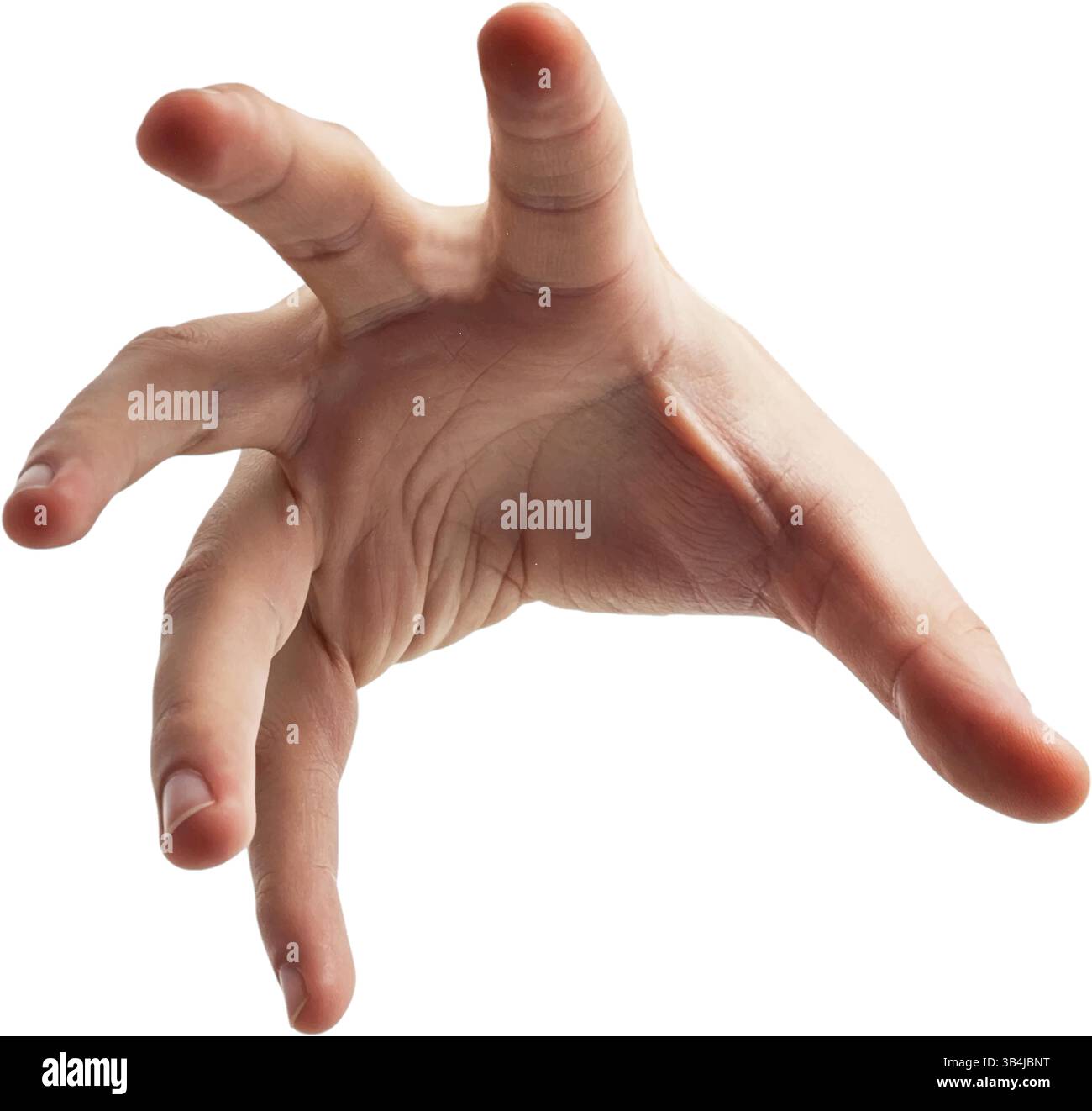 Lifelike model Stock Vector Images - Alamy