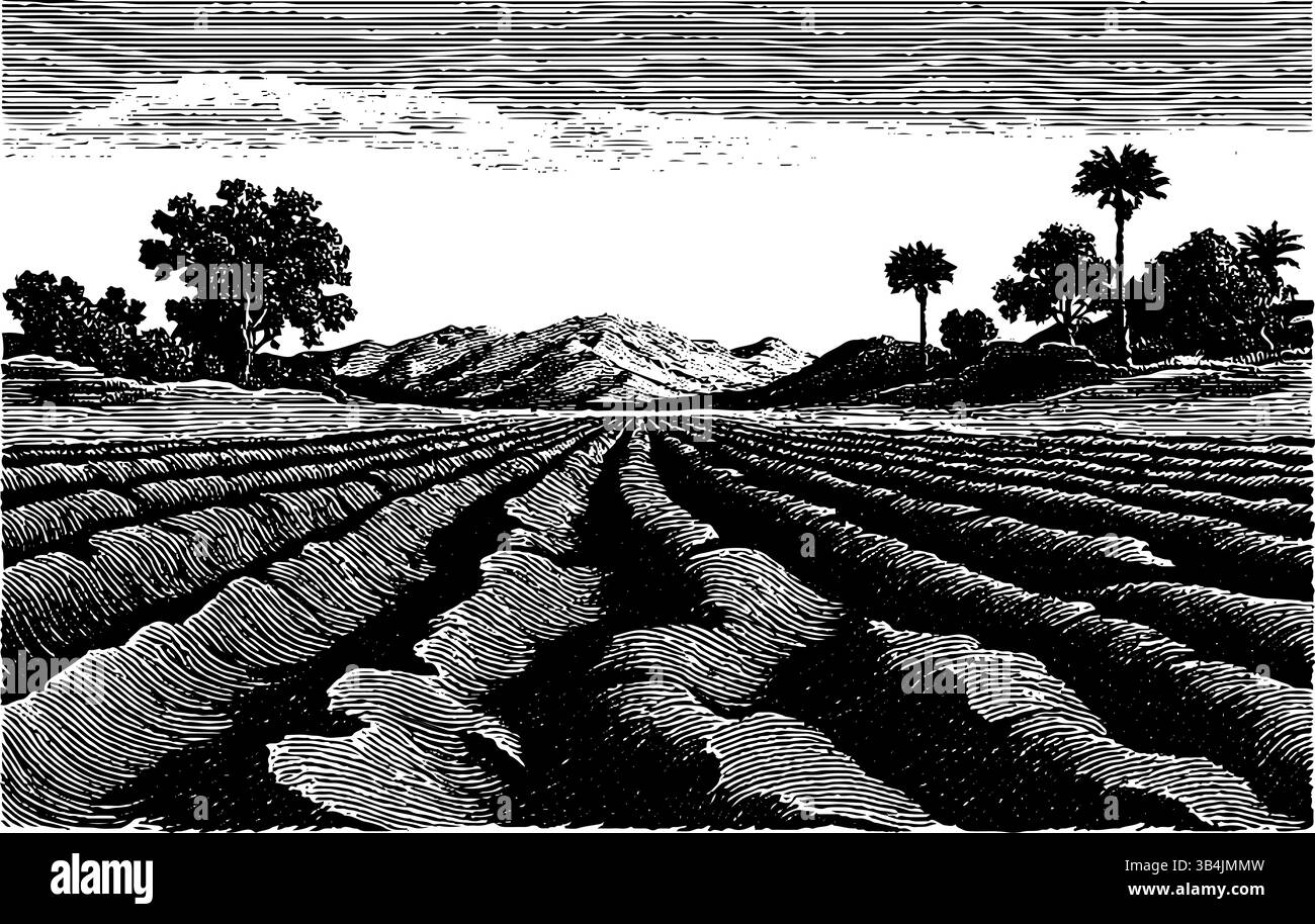 Drought landscape with engraved lines and trees under a clear sky Stock ...