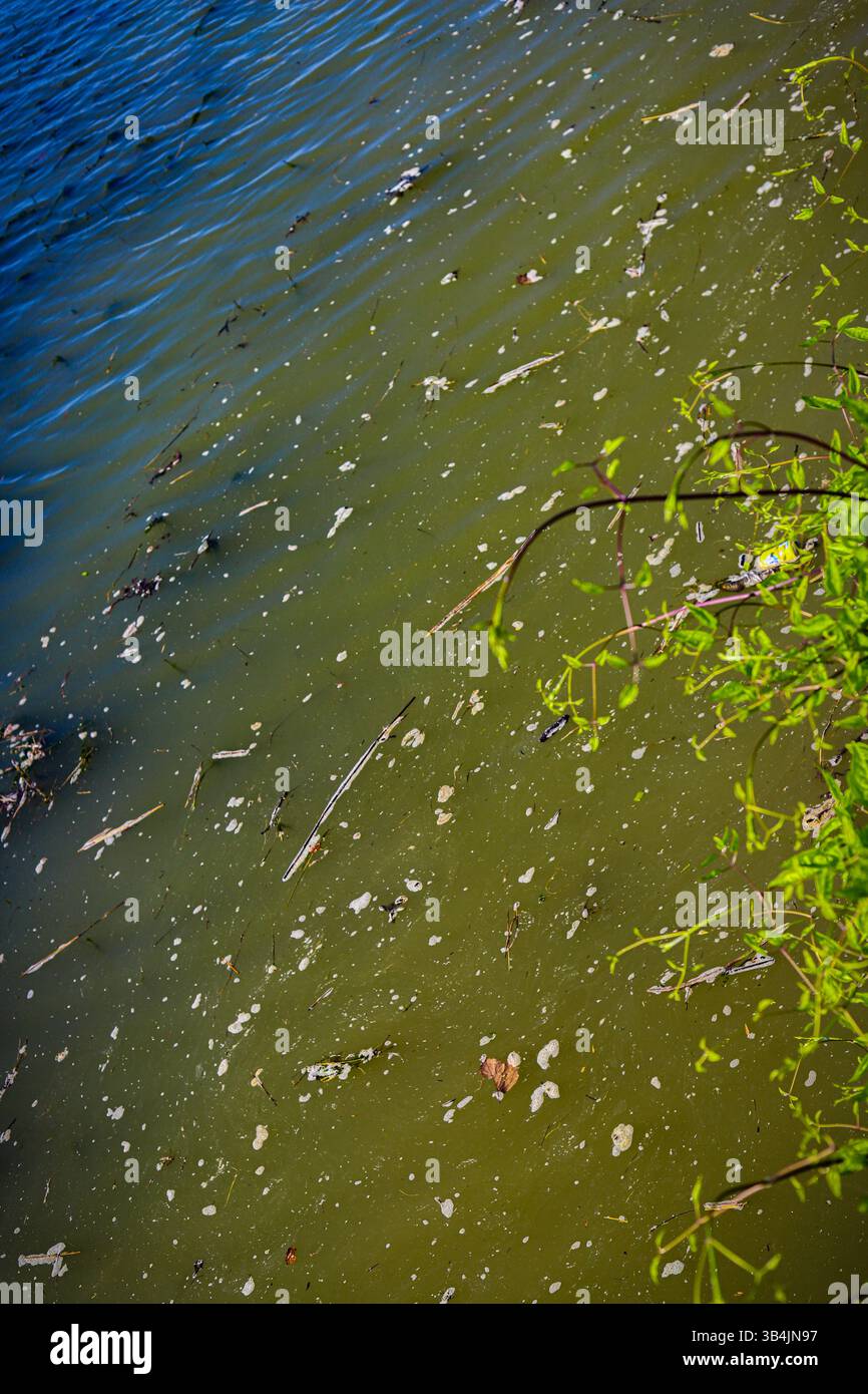 Foam and debris floating on the River Medway on the tidal estuary near ...