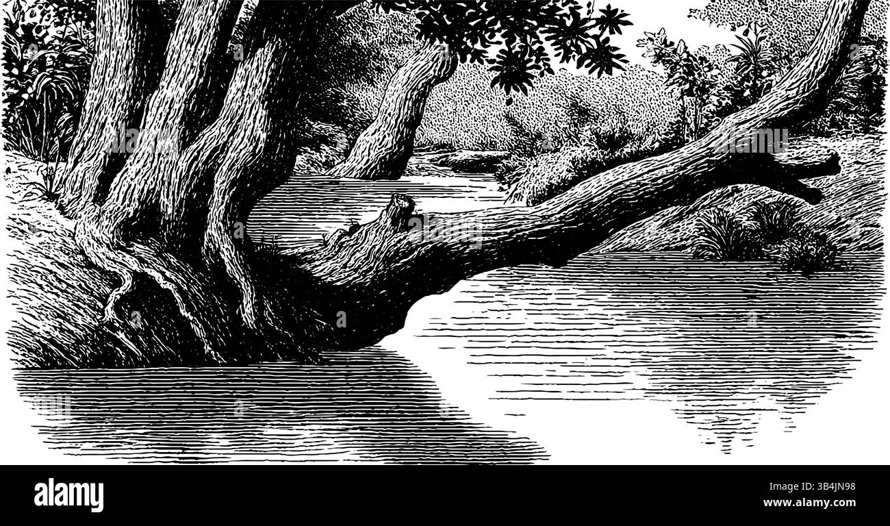 Engraved illustration of serene river flood scene in nature Stock ...