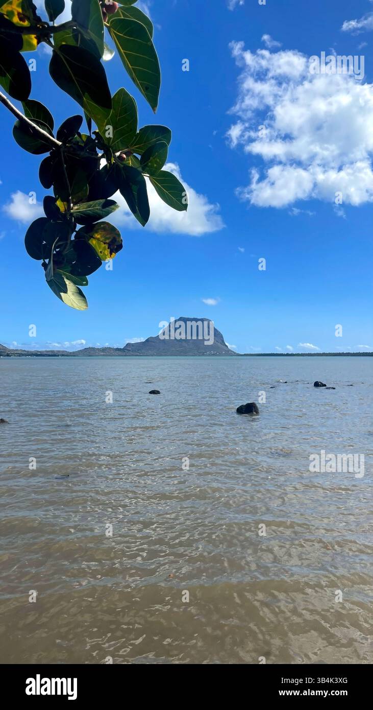 Muddy rain water hi-res stock photography and images - Alamy