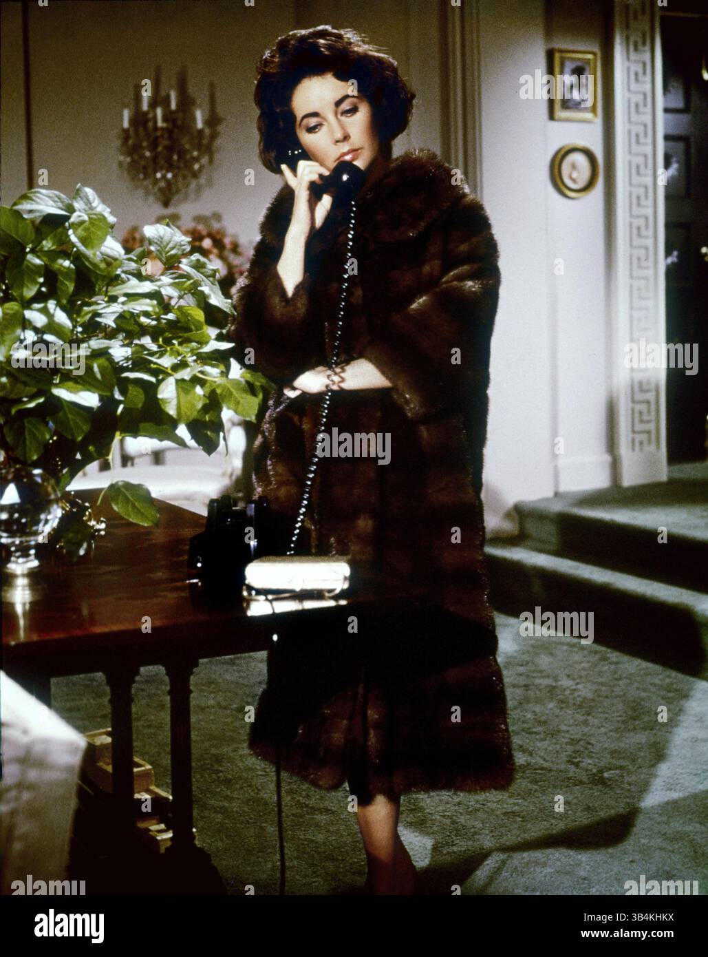 Elizabeth taylor butterfield hi-res stock photography and images - Alamy