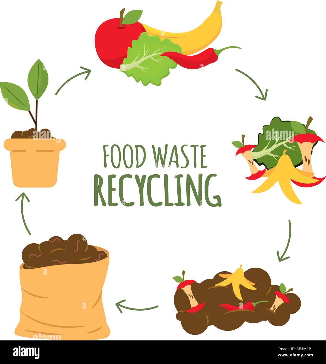 Compost food cycle chart. Vector illustration Stock Vector Image & Art ...