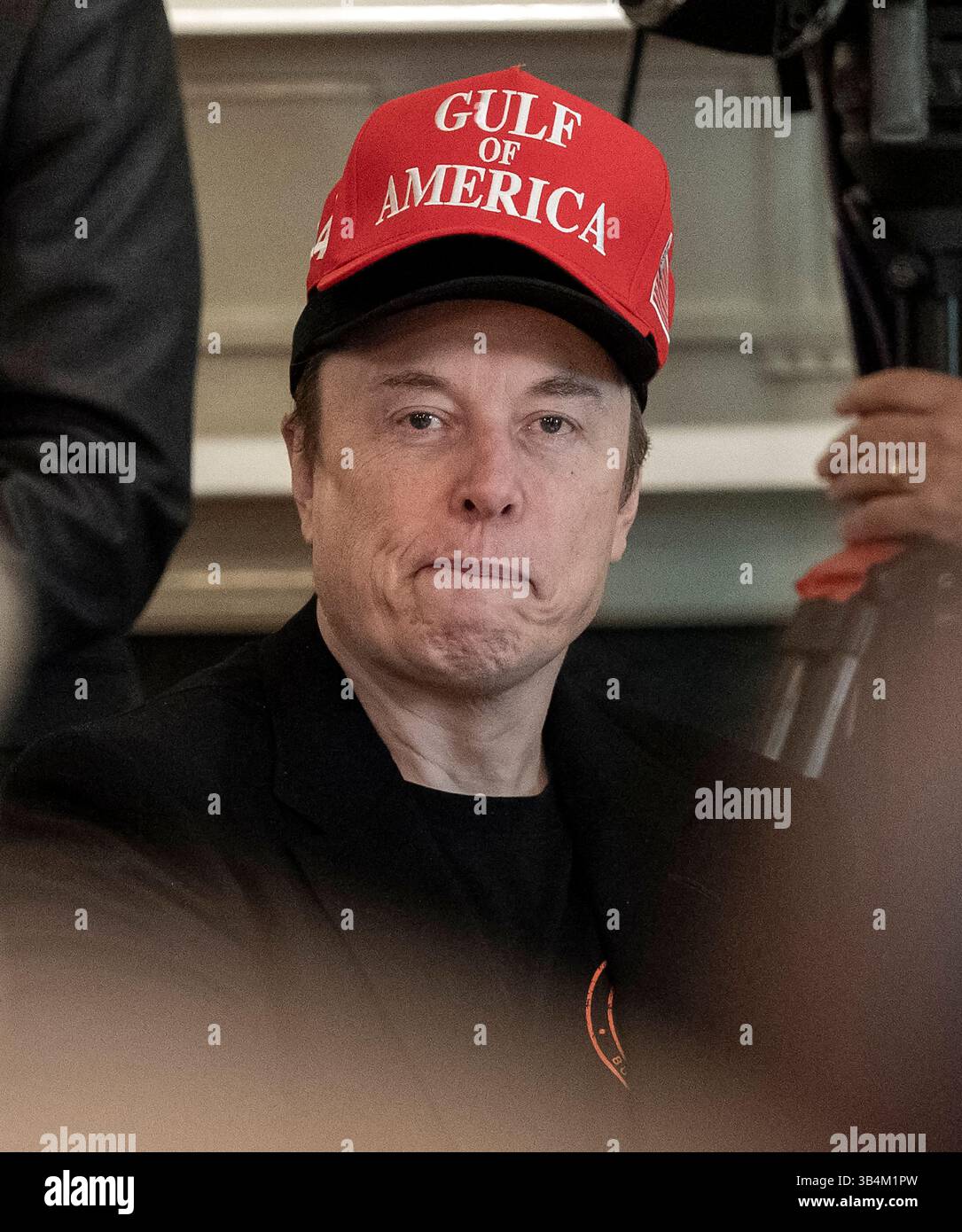 Elon Musk, Chief Executive Officer, Tesla, SpaceX and X (previously ...