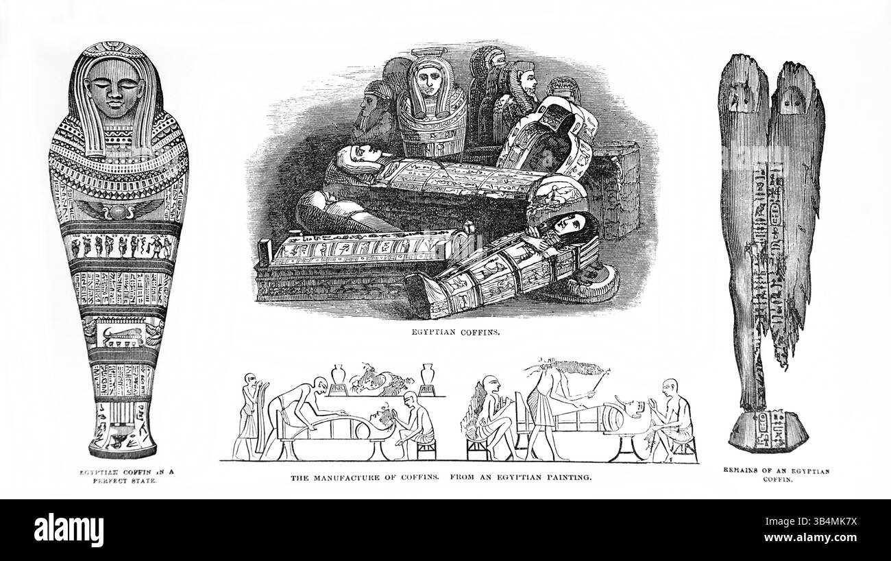 Illustrations of Egyptians Coffins (Sarcophagus) and the Manufacturing ...