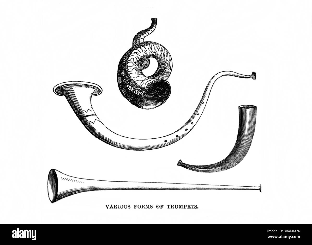 Various horns Cut Out Stock Images & Pictures - Alamy