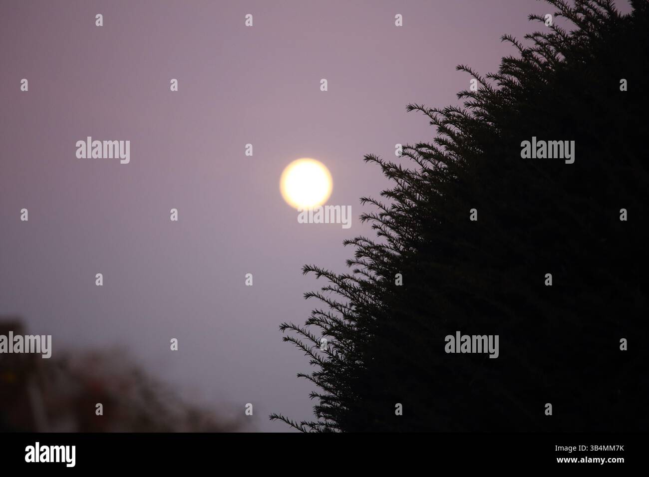 Beaver Moon (Frost moon/ Freezing moon) 15th November 2024 Supermoon ...