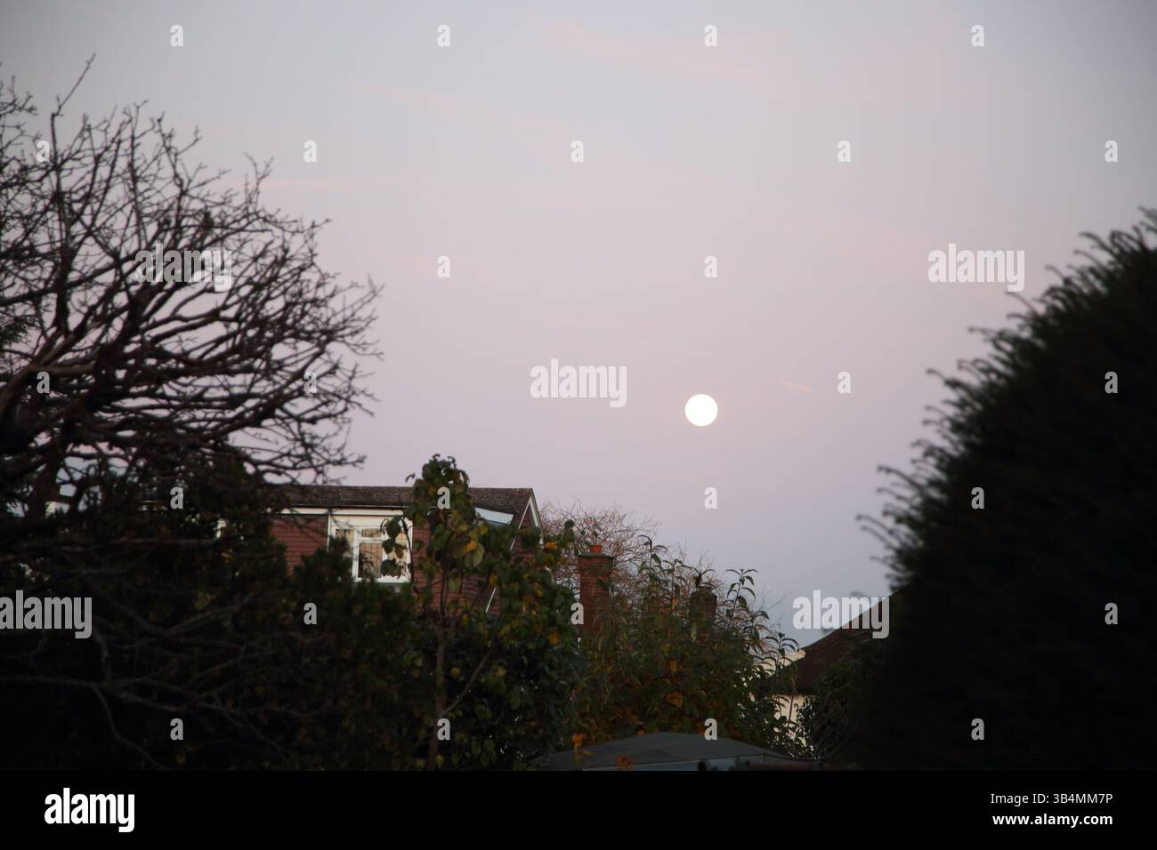 Beaver Moon (Frost moon/ Freezing moon) 15th November 2024 Supermoon ...