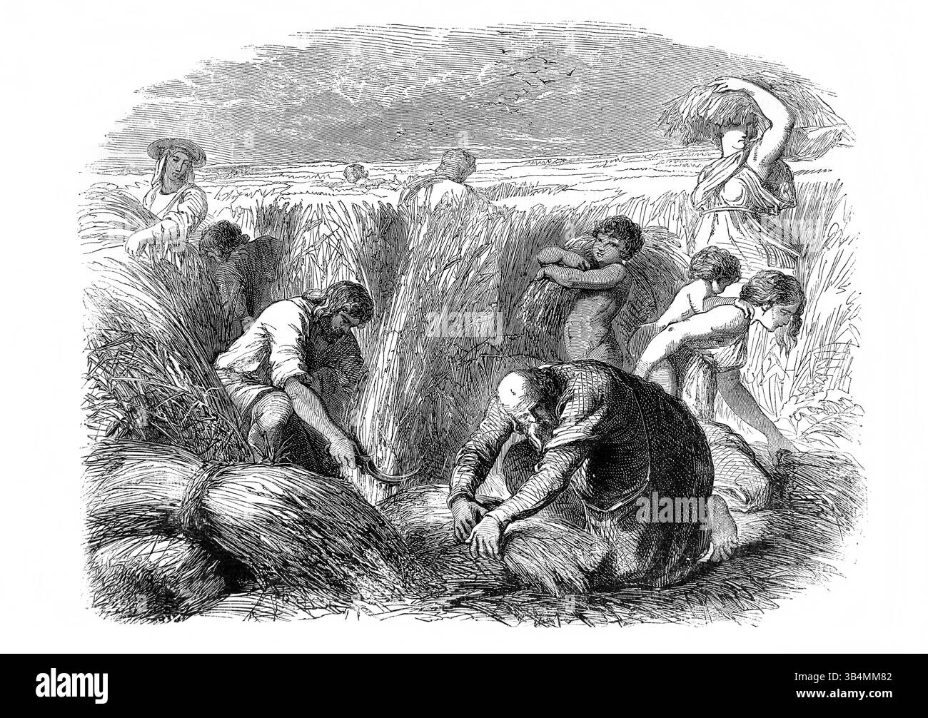Reapers 19th century Cut Out Stock Images & Pictures - Alamy