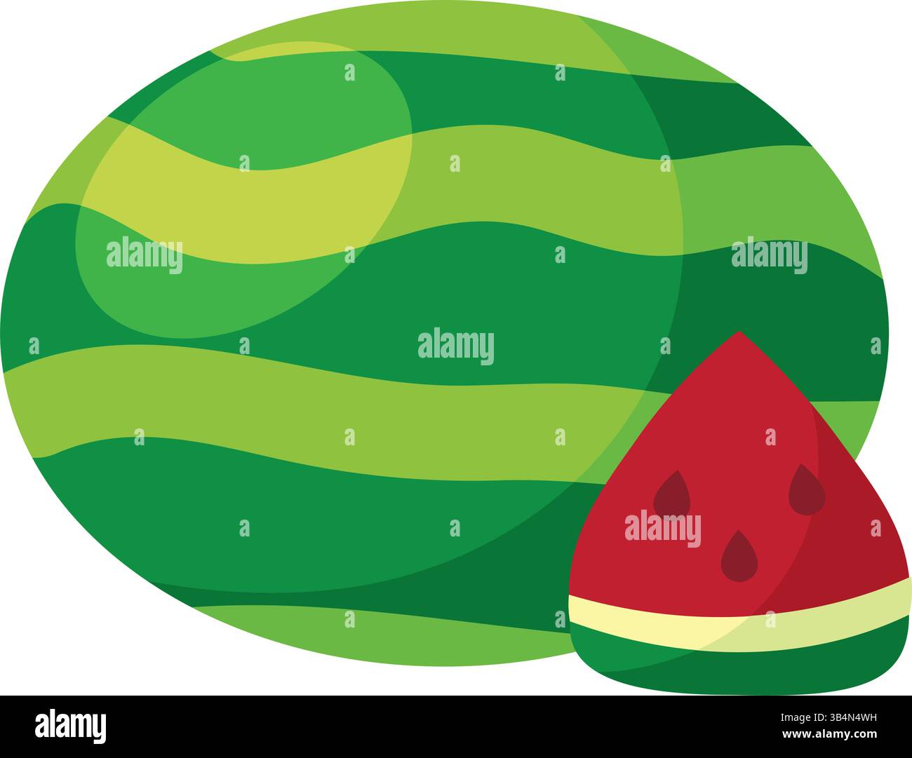 Watermelon whole and slice. Vector illustration Stock Vector Image ...