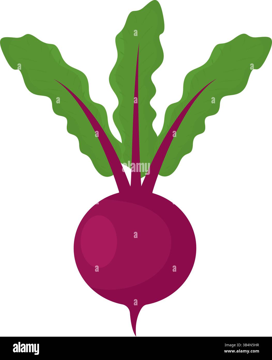 Beetroot flat cartoon icon. Vector illustration Stock Vector Image ...