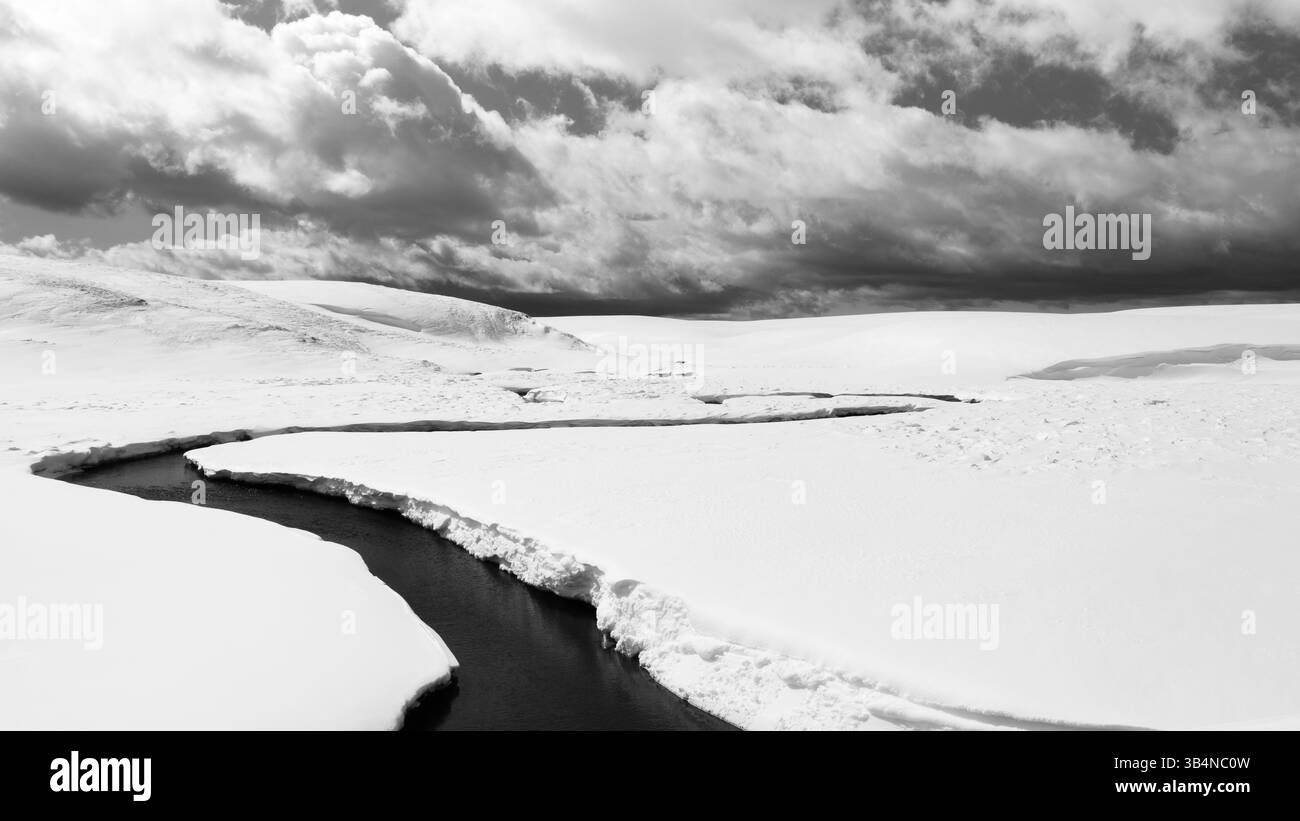 Coursing through Black and White Stock Photos & Images - Alamy
