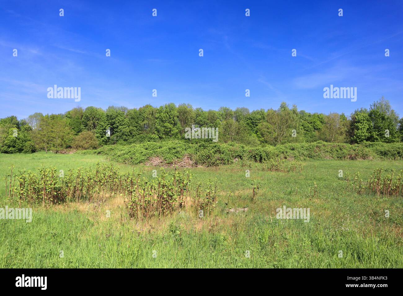 Kulturlandschaften in Nordrhein-Westfalen Kulturlandschaft am Stadtrand ...