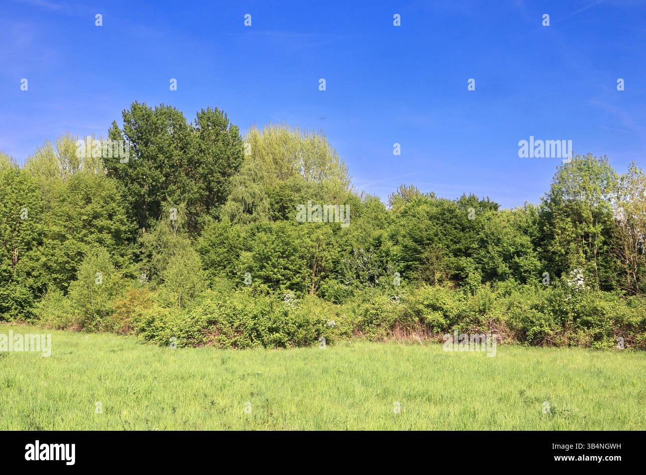 Kulturlandschaften in Nordrhein-Westfalen Kulturlandschaft am Stadtrand ...