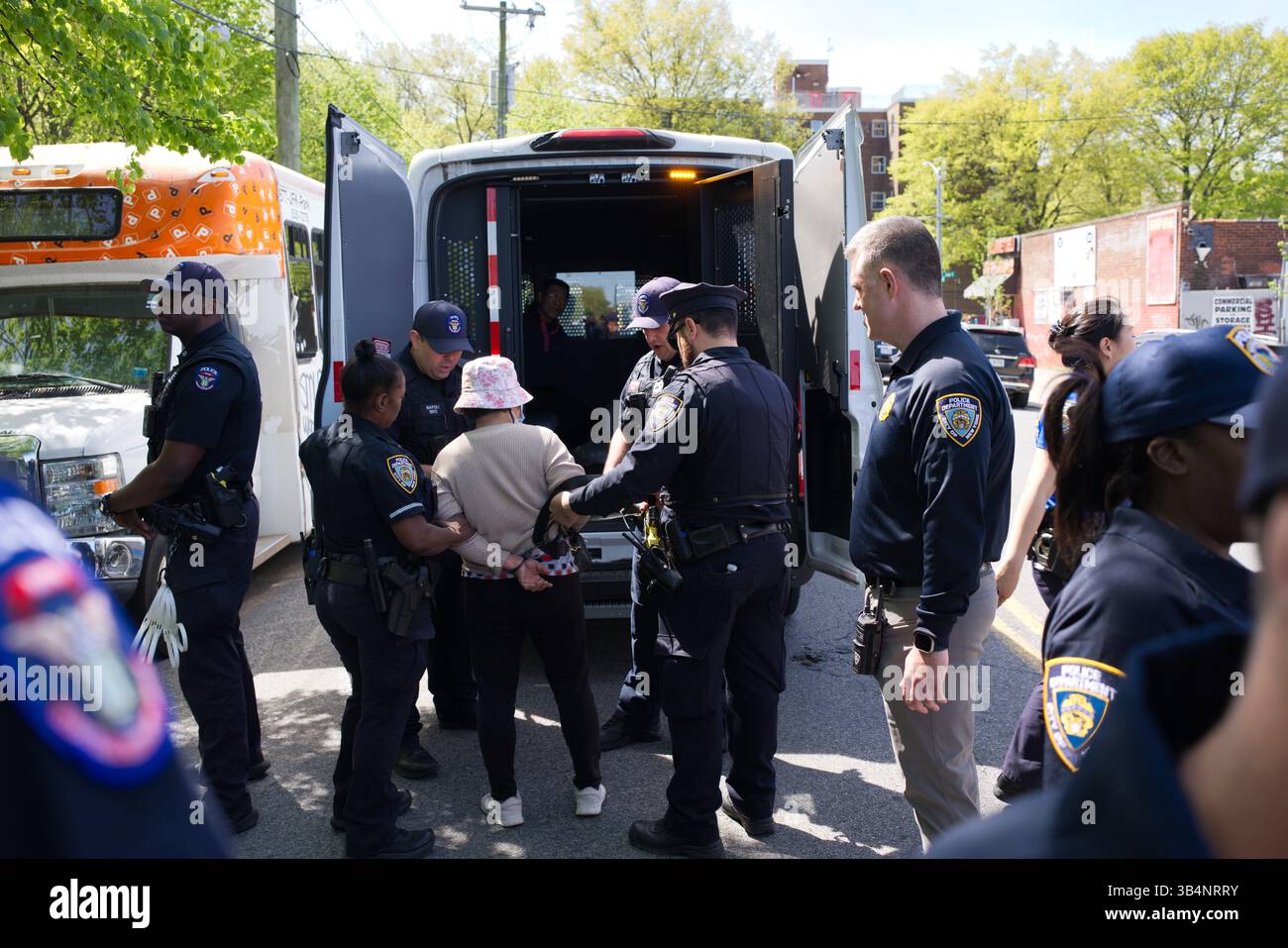 NYPD officers arrest a woman in handcuffs near a white van and bus ...