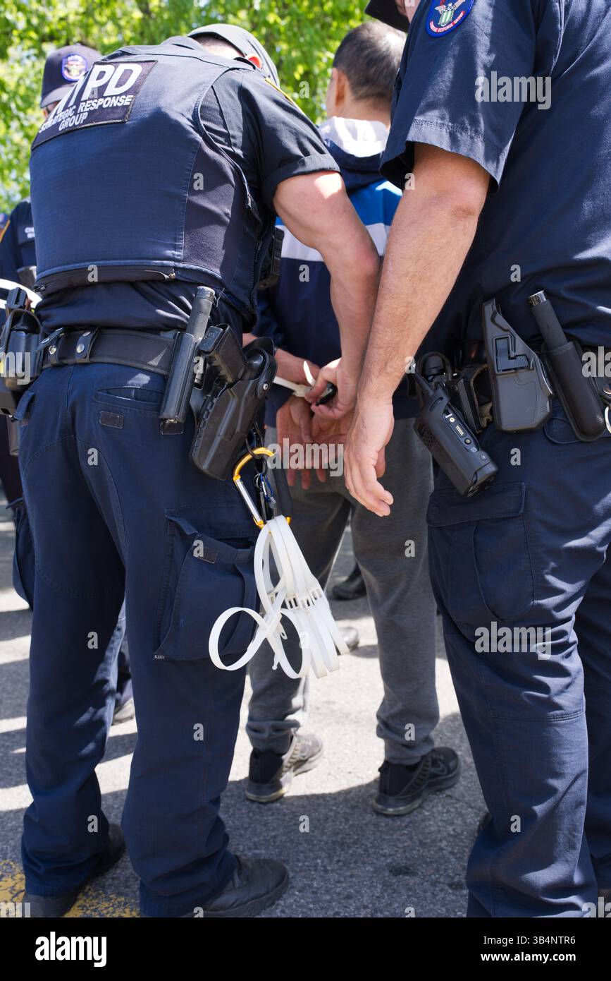 Two police officers in dark blue uniforms handcuff a suspect. Plastic ...