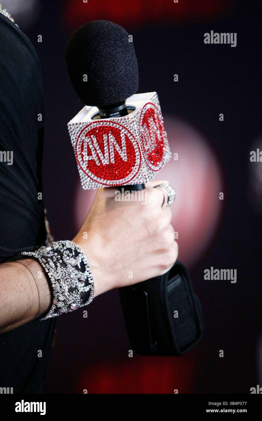 Jan. 09, 2010 - Hollywood, California, USA - A detail shot of the AVN ...