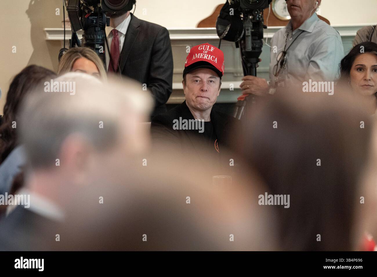 Washington, DC, USA. 30th Apr, 2025. Elon Musk, Chief Executive Officer ...