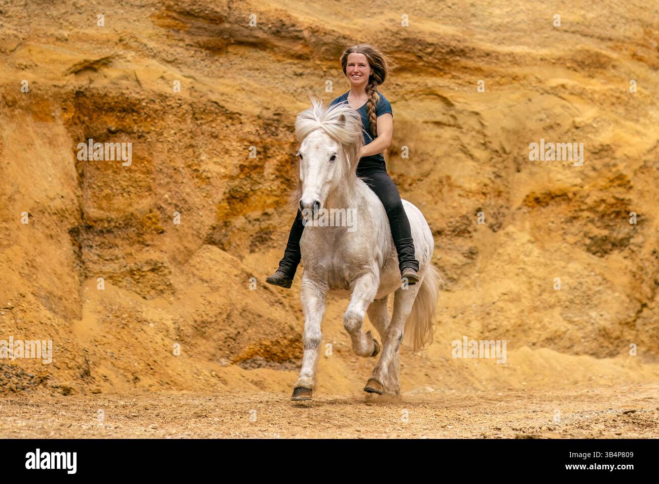 A young woman and her white icelandic horse gelding interacting in a ...