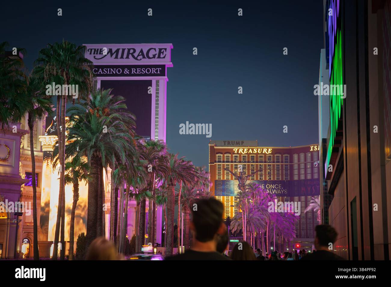 LAS VEGAS, AUGUST 21, 2024: Neon-washed palms lead toward the Mirage ...
