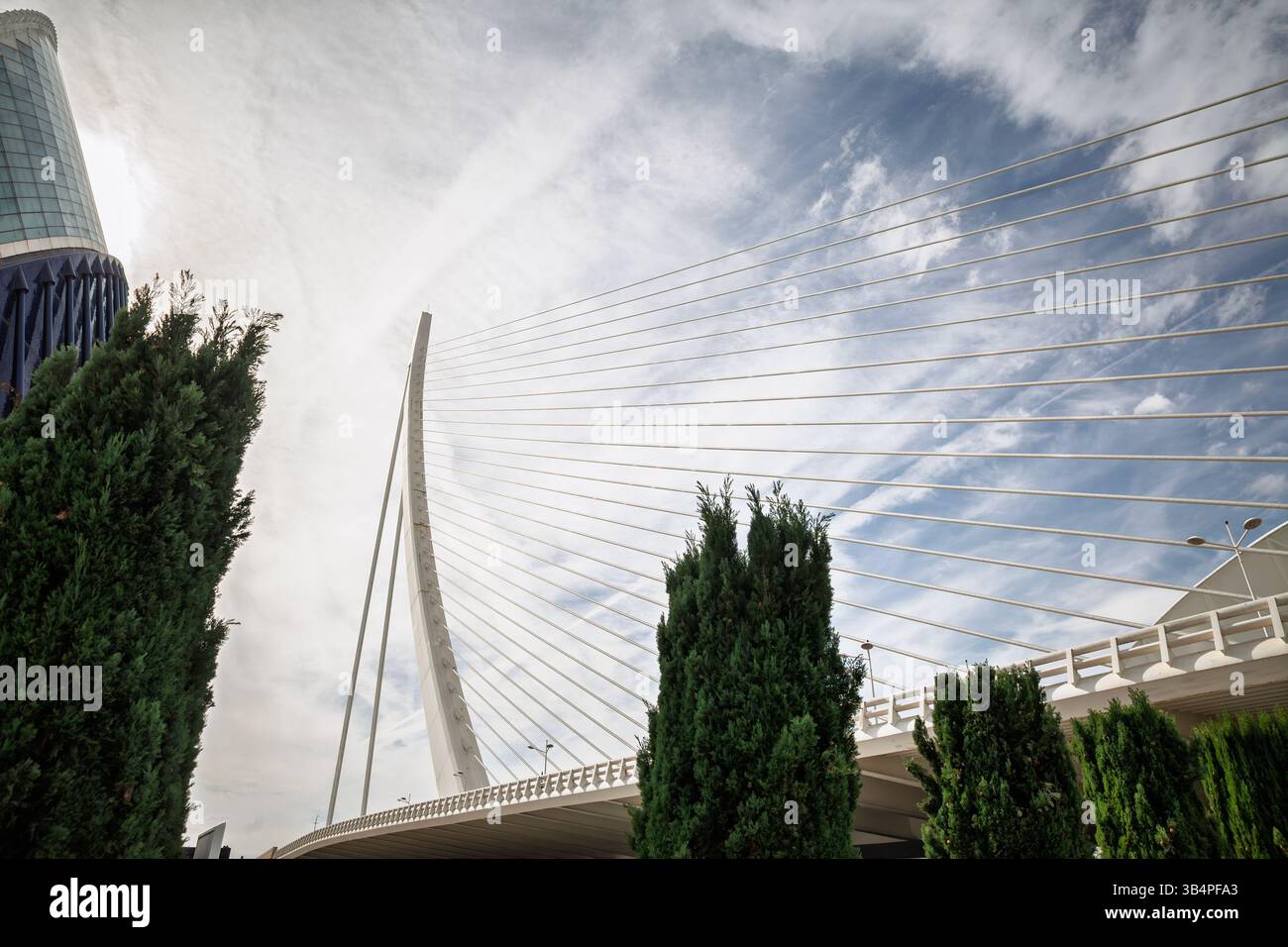A sweeping cable-stayed bridge shows a slender white pylon and a fan of ...