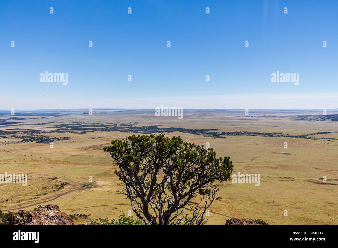 Serene landscape of the volcanic field seen from Crater Rim Trail at ...