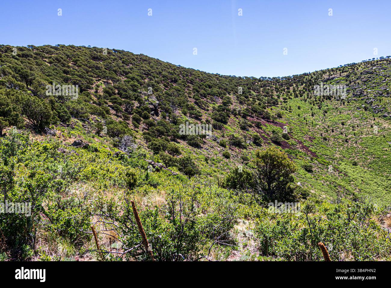 View from down inside the Capulin Volcano after hiking Crater Vent ...