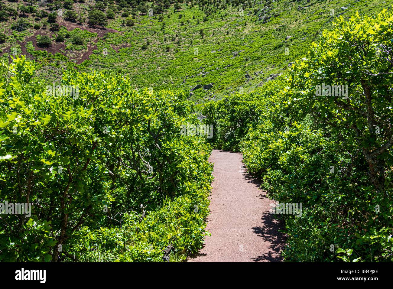 Hiking Crater Vent Trail down into the vent area of Capulin Volcano ...