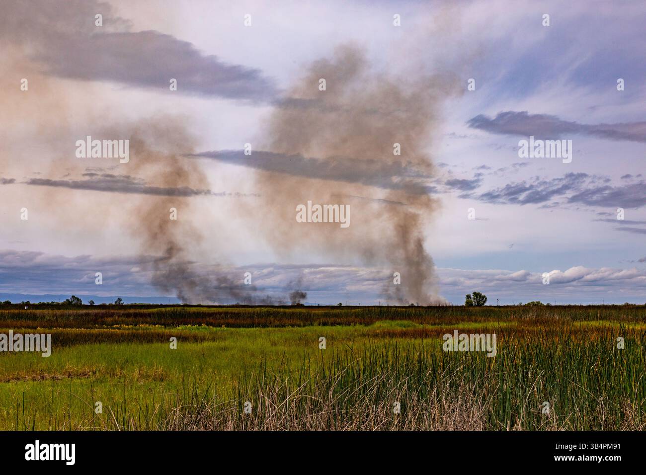 Smoke from a controlled burn of the grasslands at the San Luis National ...