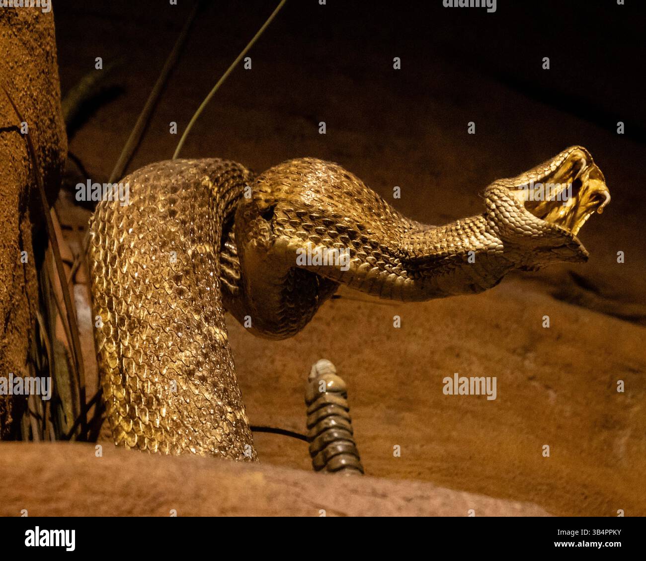 Setting features natural elements hi-res stock photography and images ...