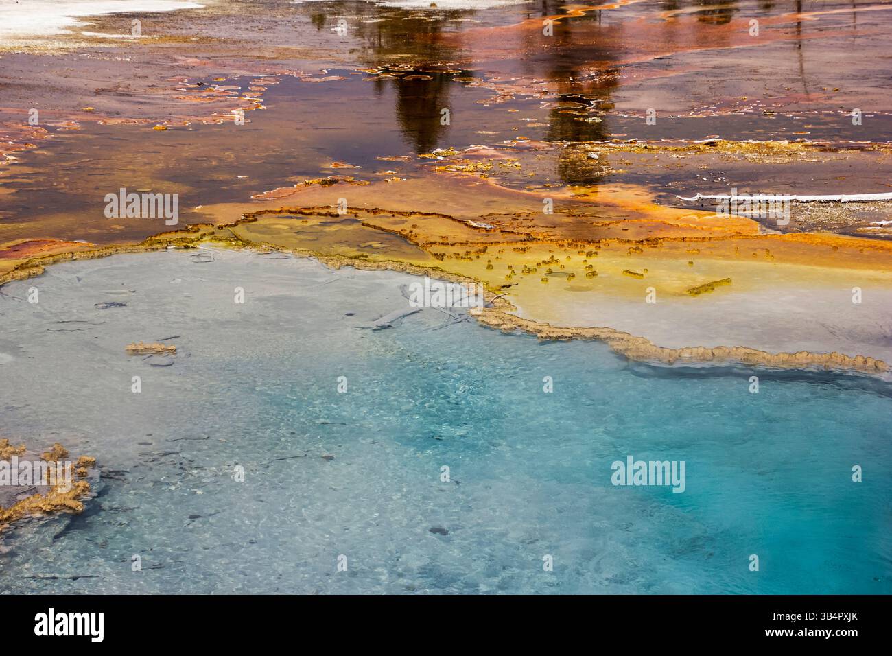 Brilliant colors emerge from hot springs as steam rises in Yellowstone ...