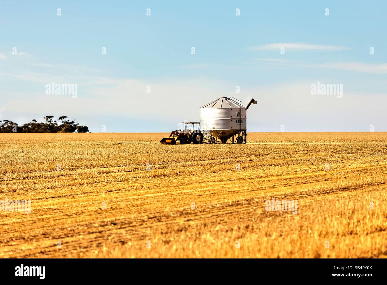 Tractor and grain auger hopper, Western Australia Stock Photo - Alamy