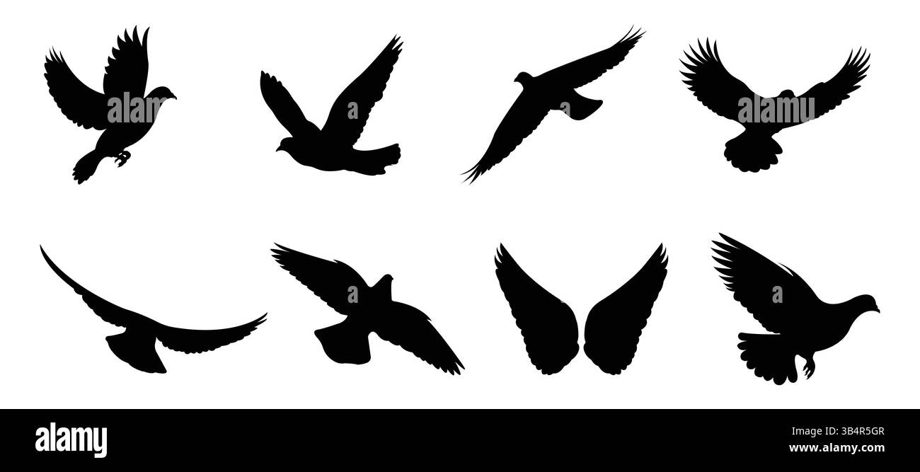 Flying Bird Silhouettes Collection Set on White Background Stock Vector ...