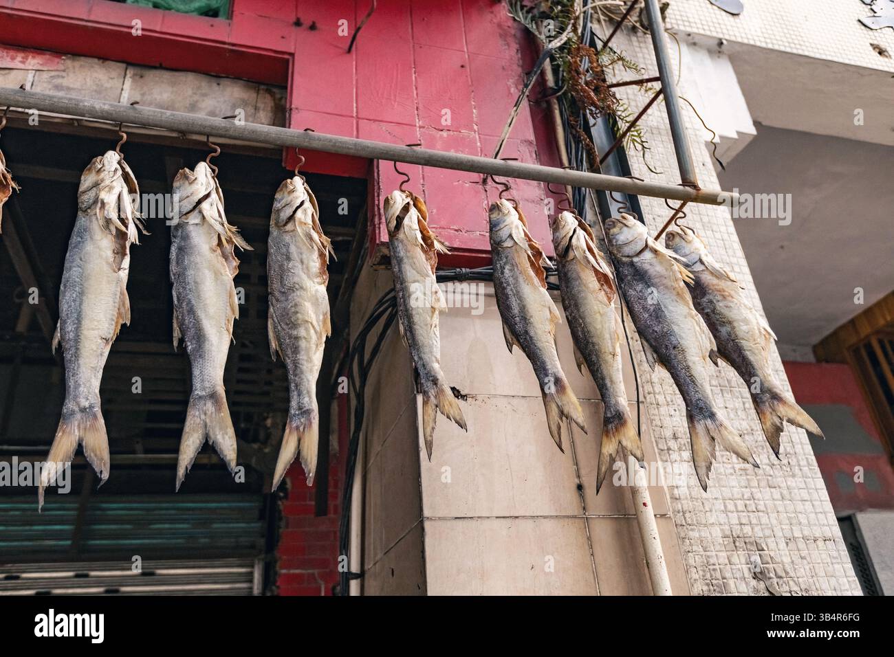 Dry fish hanging at the shop entrance in Macau Stock Photo - Alamy
