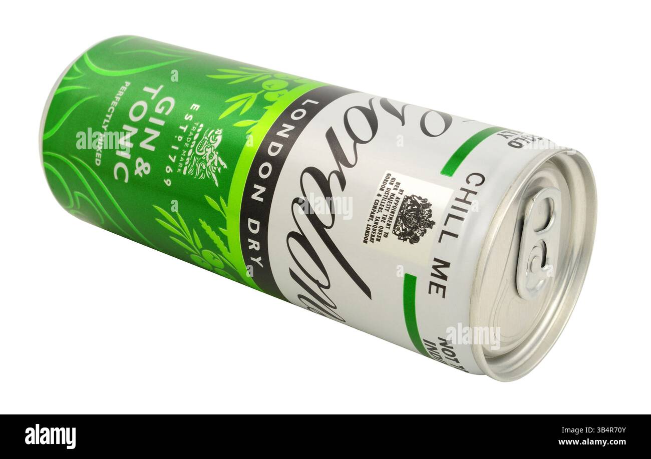 Gordons London dry gin and tonic water drink mix individual 250ml can ...
