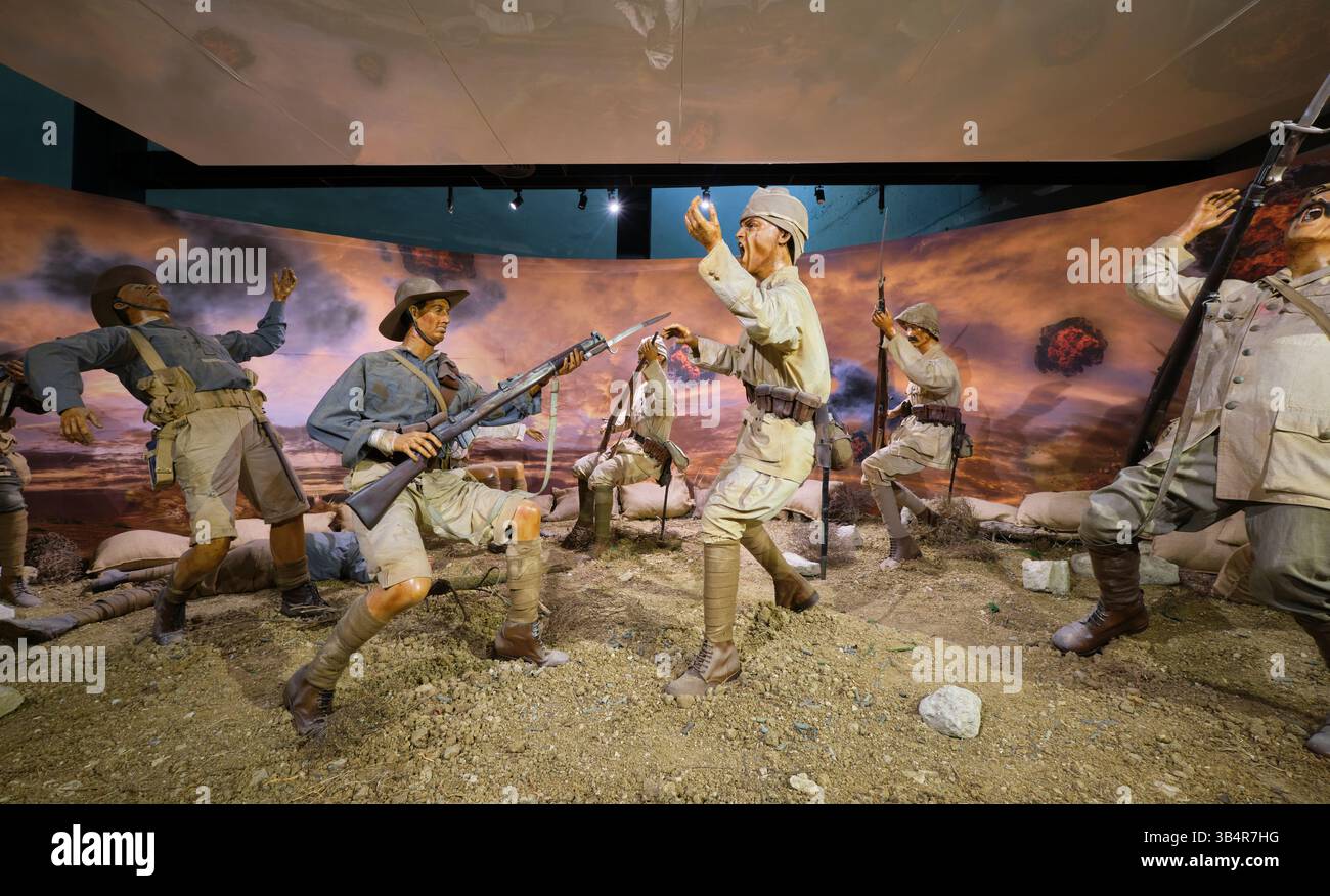 A large diorama depicting combat, battle between ANZAC, Turkish troops ...
