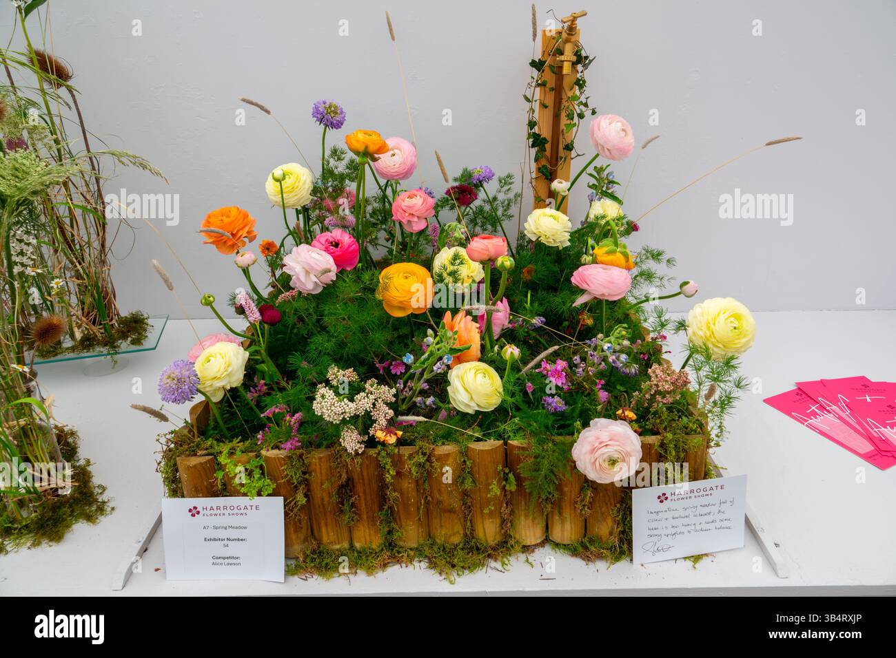 Flower show displays Stock Photo - Alamy