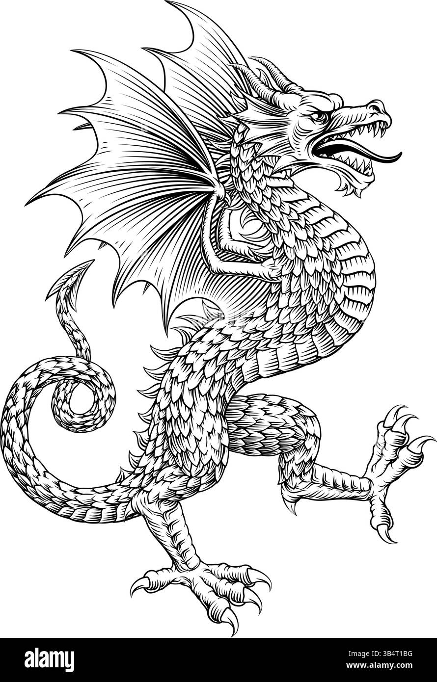 Heraldry Wyvern Heraldic Coat of Arms Dragon Stock Vector Image & Art ...