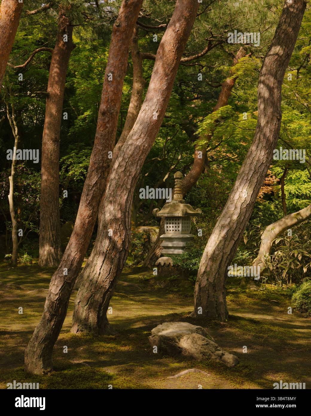 Adachi Museum of Art Landscape View of traditional Japanese Garden ...