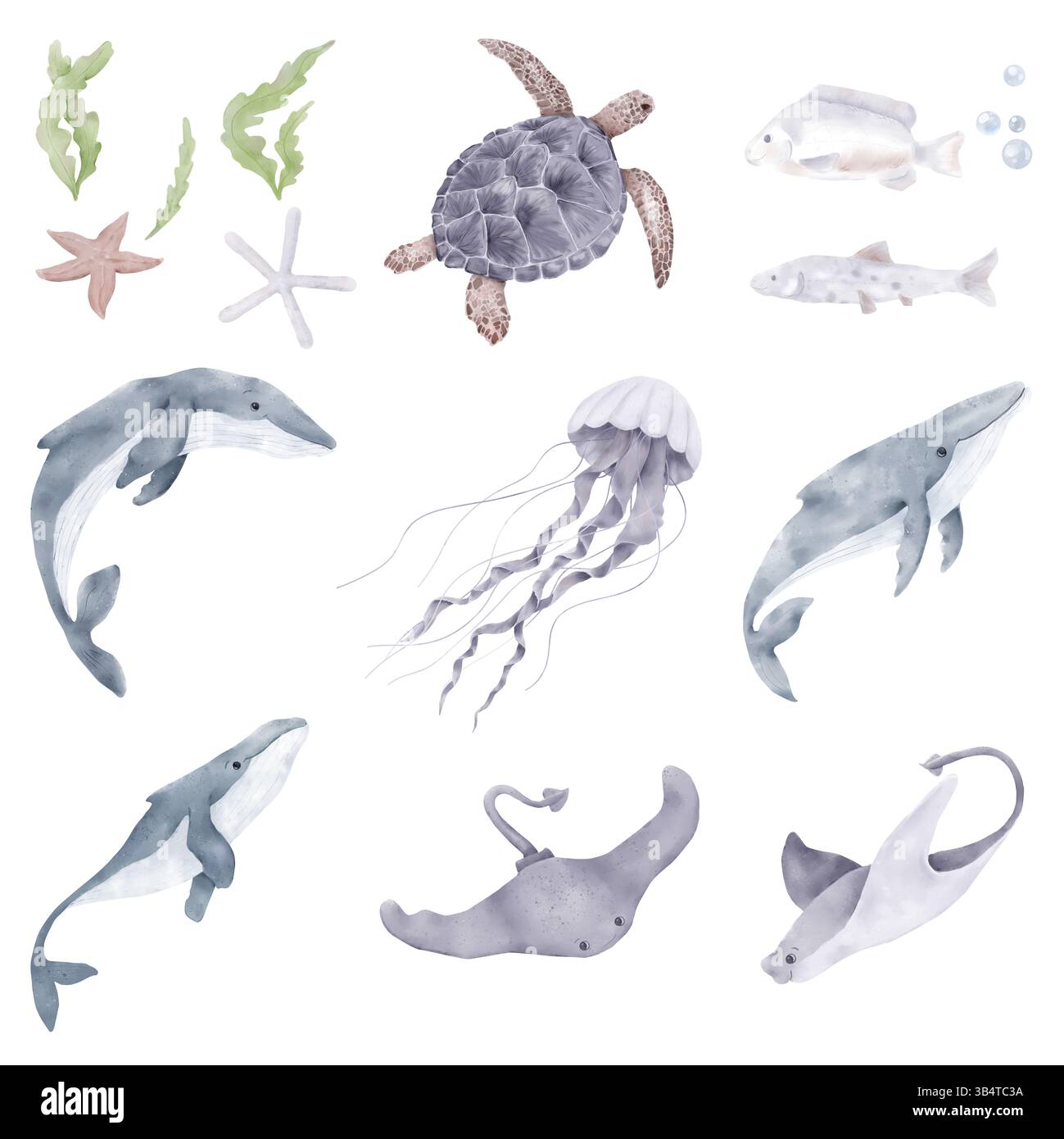 Whale and ocean stingray, fish, turtle and jellyfish. Watercolor ...