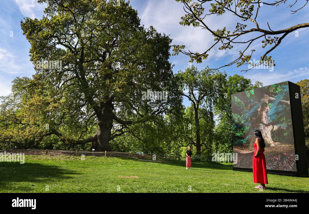 London, UK. 01st May 2025. Kew staff and volunteers (Tilly and Josie ...