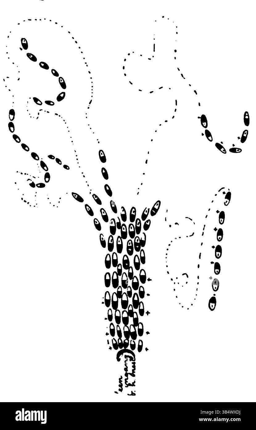 Dutch artist study Cut Out Stock Images & Pictures - Alamy