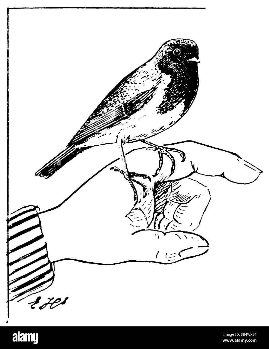 An illustration from Eli Heimans' 1906 book 'Wandelen en waarnemen ...