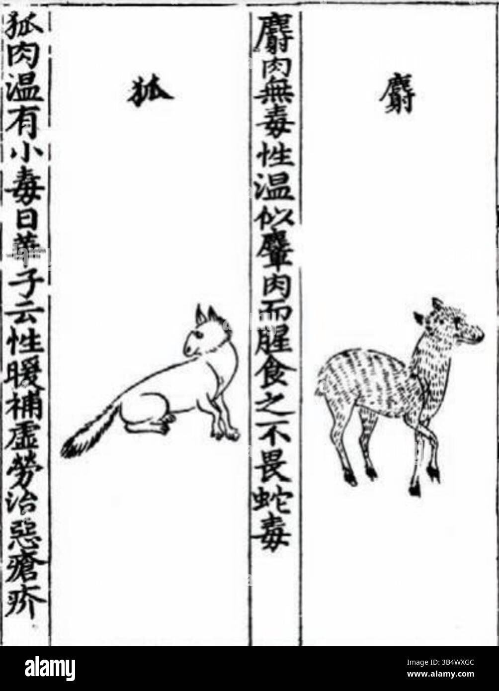This 1456 illustration from the 'YSZY' manuscript depicts an animal ...