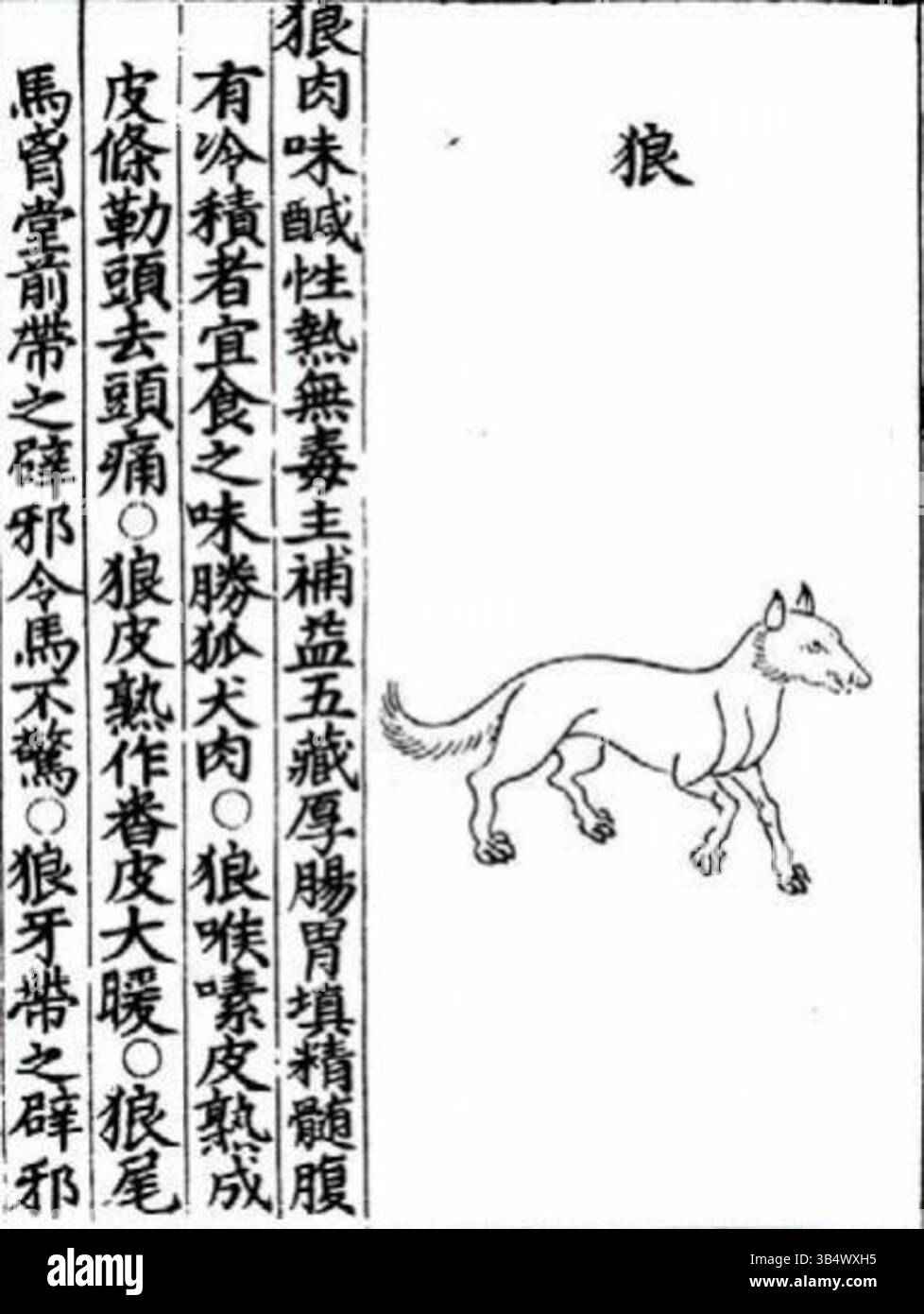 This artwork from circa 1456 illustrates an animal alongside ...