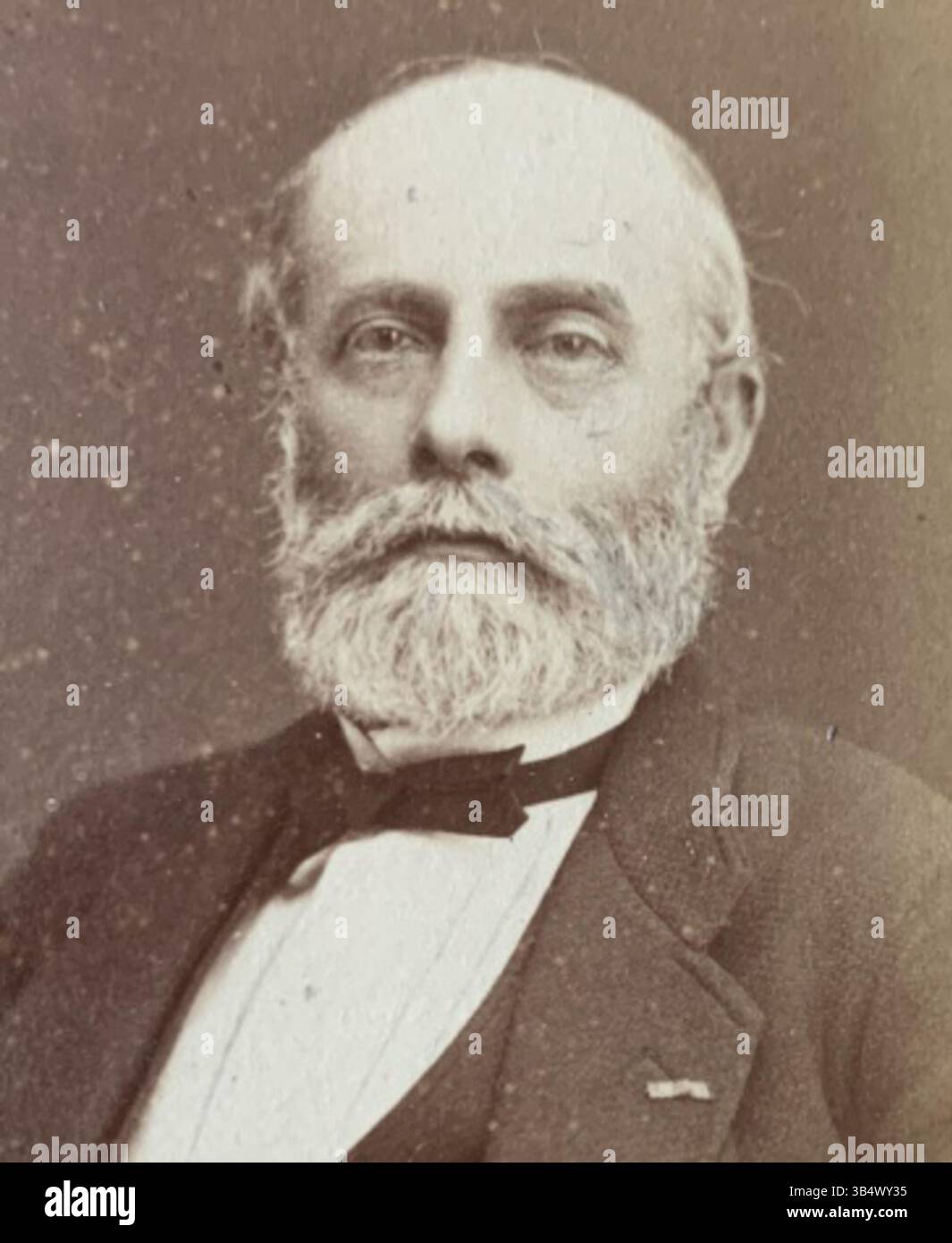 Eugène Caillaux is photographed by Eugène Appert in this 19th-century ...