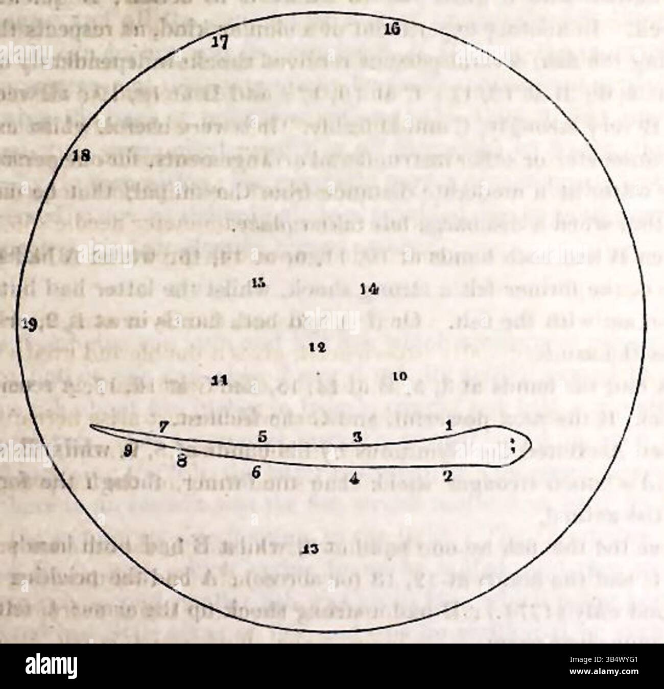 Michael Faradays 1838 Diagram Depicts His Experiment With The Electric