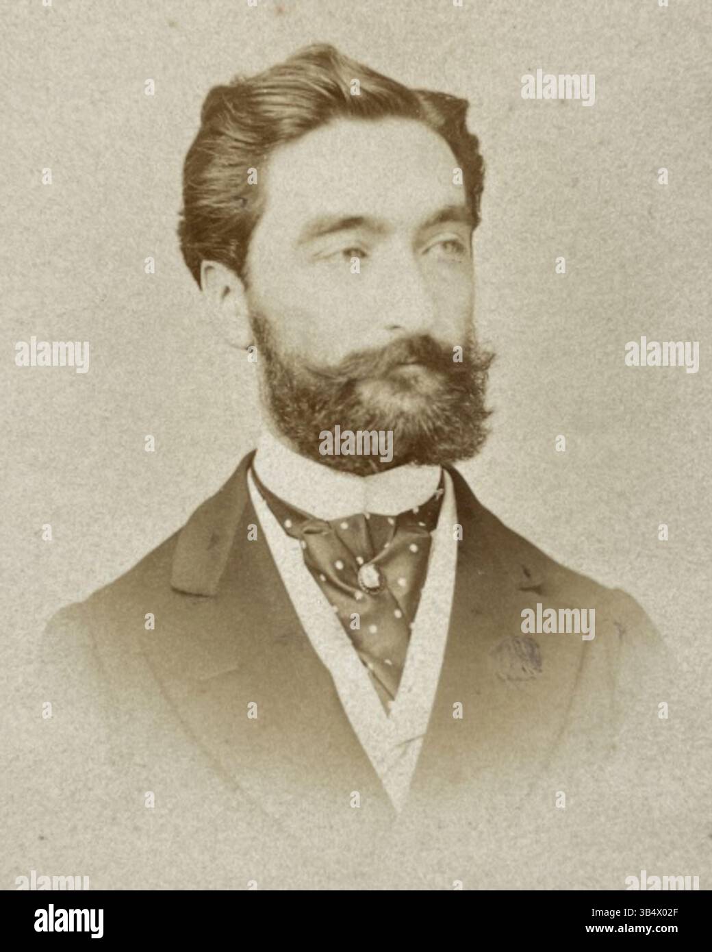 This 1873 photograph by Franck captures Sadi Carnot, the French ...